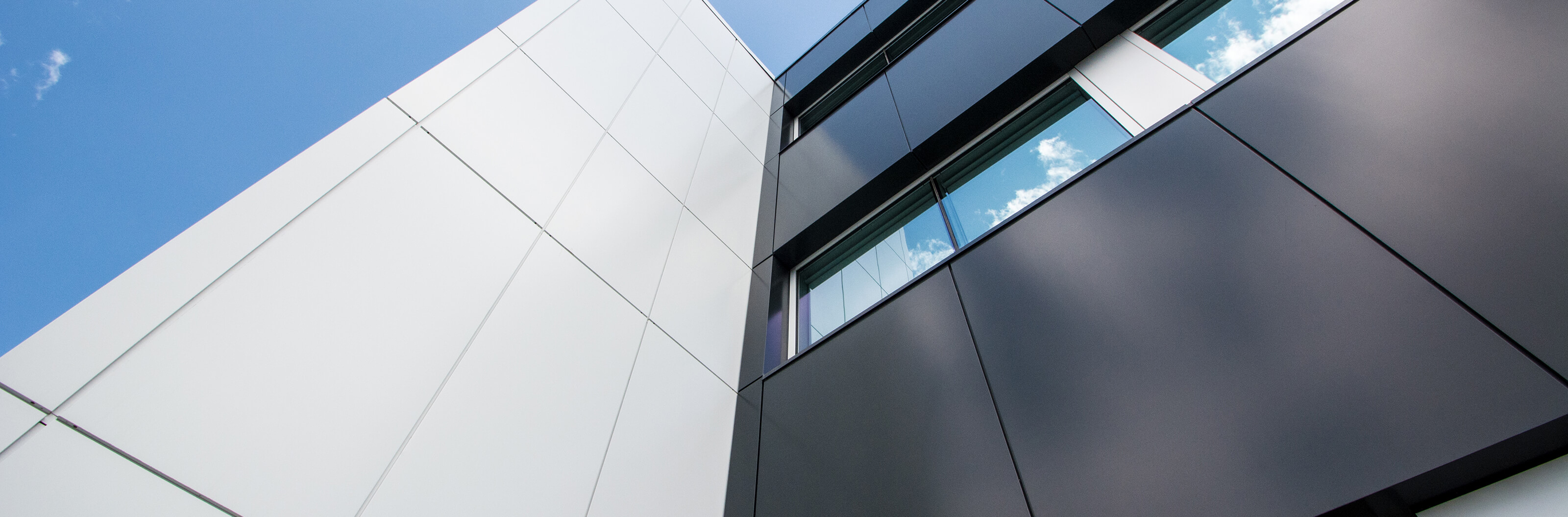 Royal Vista Link - Alcotex®